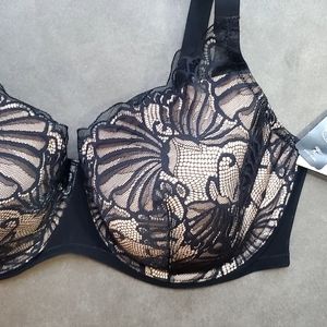 Paramour | Intimates & Sleepwear | Nwt Paramour Tempting Full Figure ...